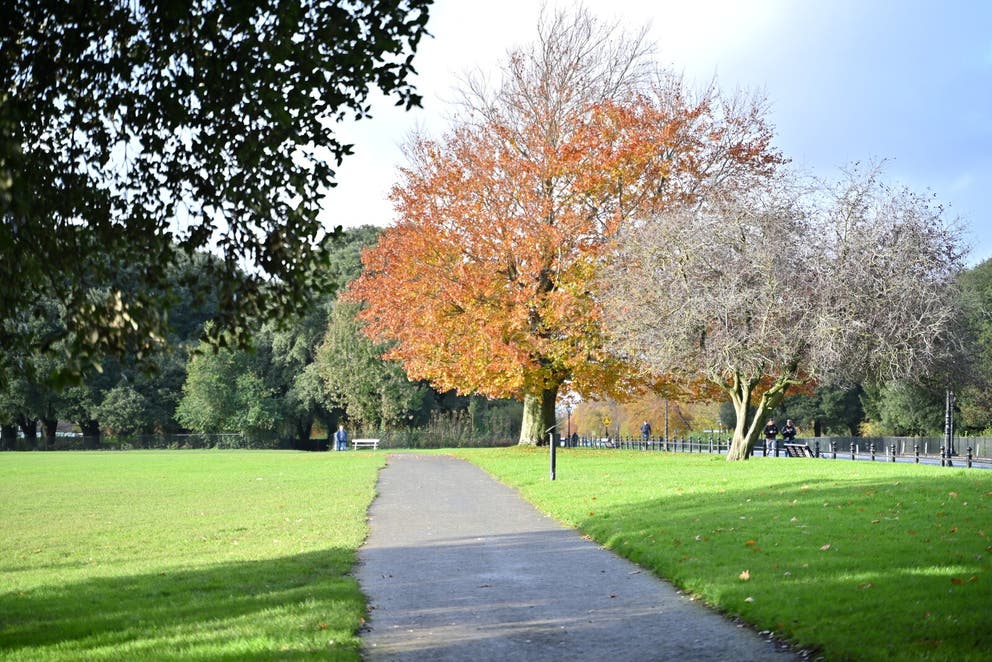 Walking on the Phoenix Park Stock Photo - Image of lawn, flower: 372065474