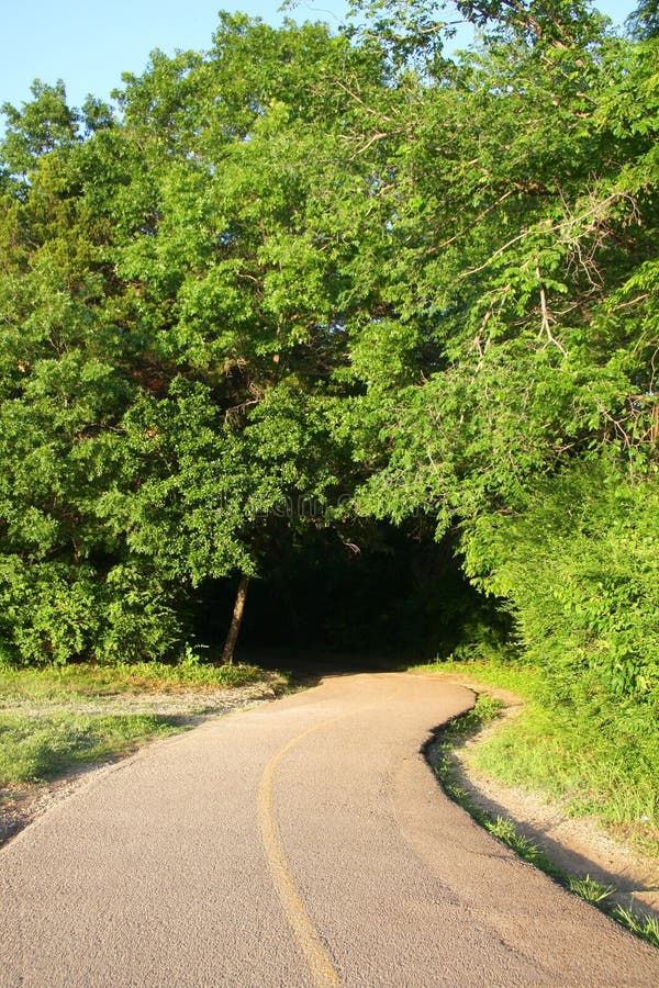 Path and plants on spring stock photo. Image of green - 24348106