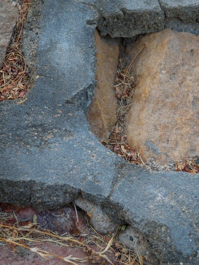 Path of Plated Stones with Cement in Garden. Meditative Stone Walkway ...