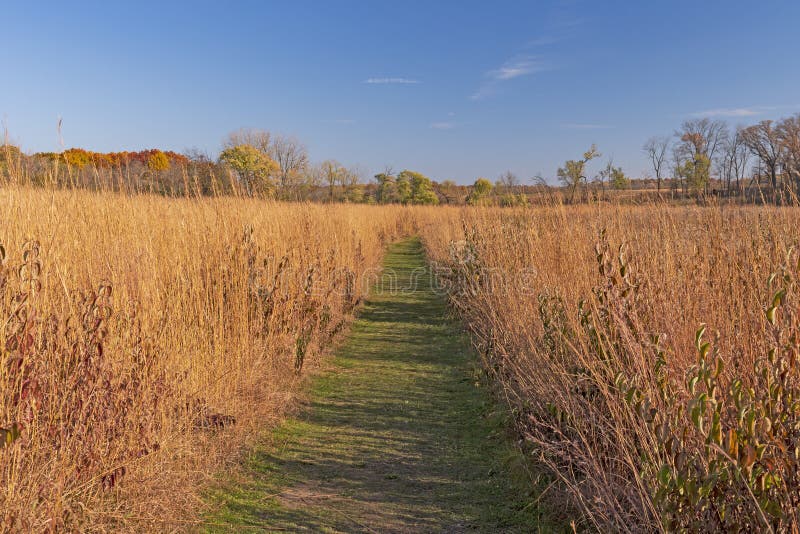 Path through the Prairie Grasses in the Fall Stock Photo - Image of ...