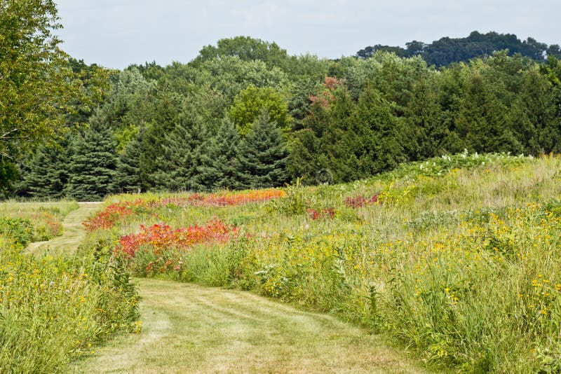 Path through the Prairie at the Park Stock Image - Image of path, park ...