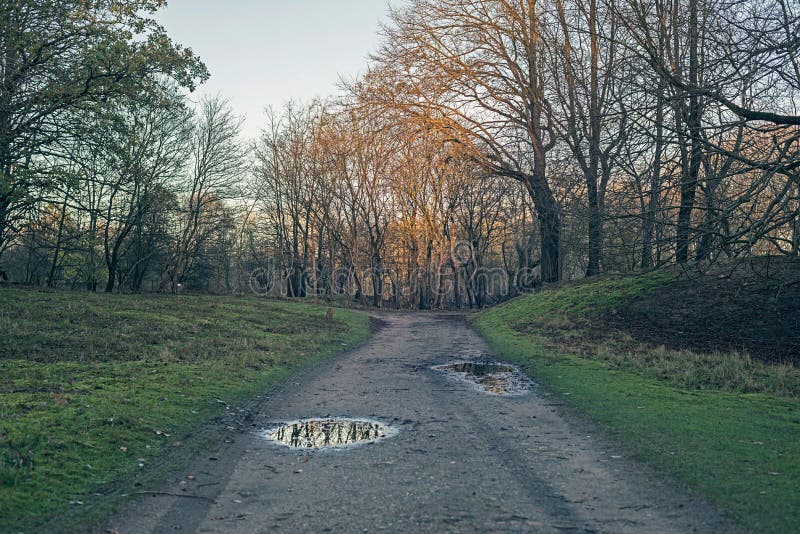 Path with Puddles in Park. Fall Season. Stock Photo - Image of winter ...