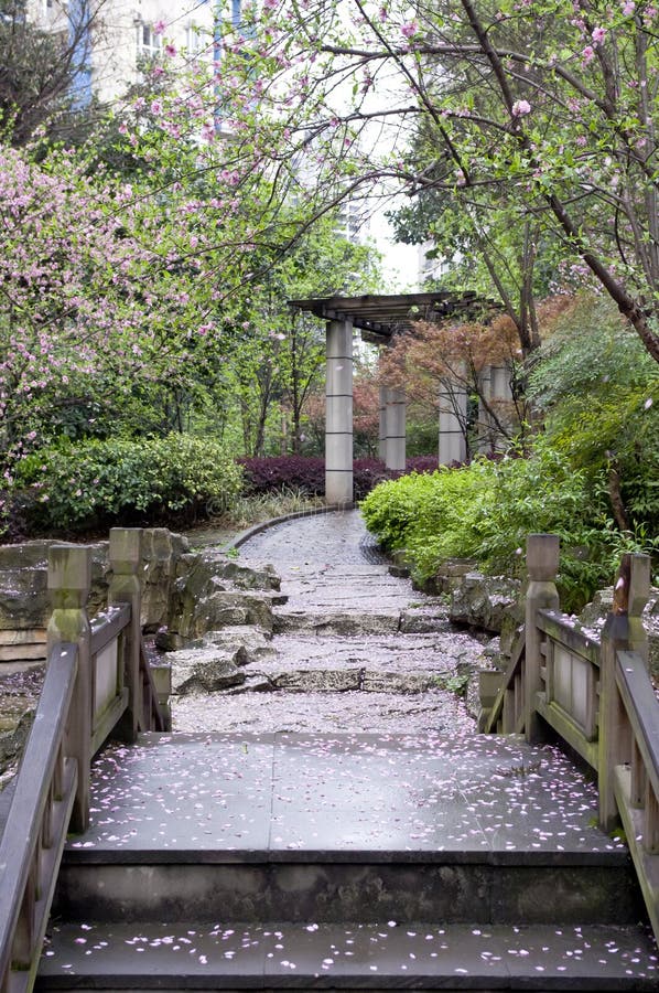 Path after Rain. Petals of Peach is Falling Down. Stock Photo - Image ...