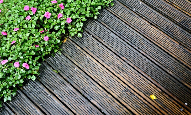 Path after rain stock image. Image of beautiful, roads - 131585679