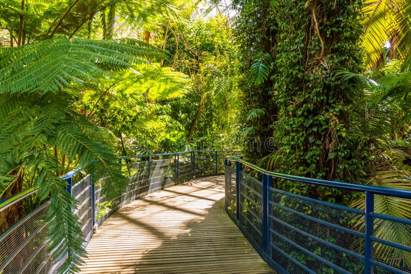 Rainforest Conservatory stock image. Image of exhibit - 13742187