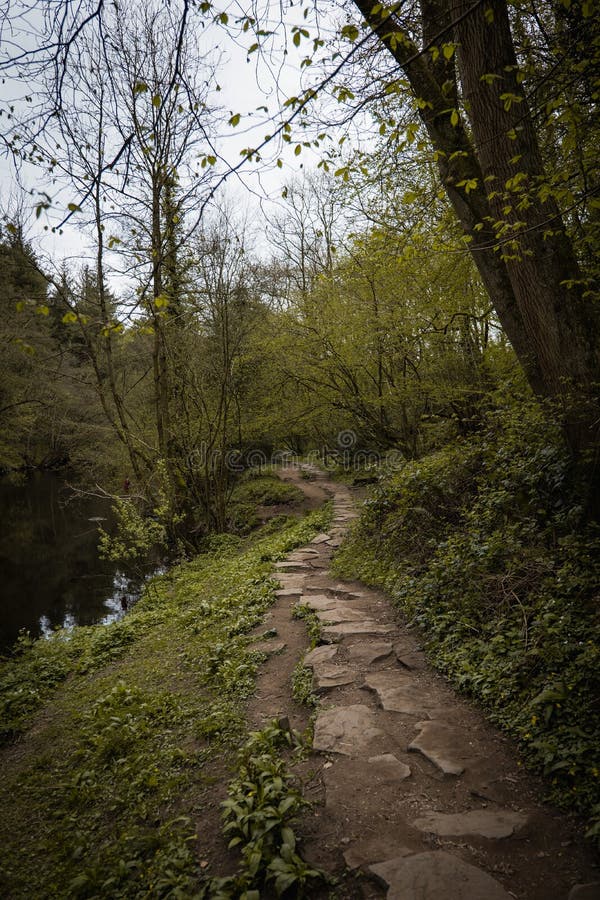 A Stone Path at River Bank stock photo. Image of britain - 179900904