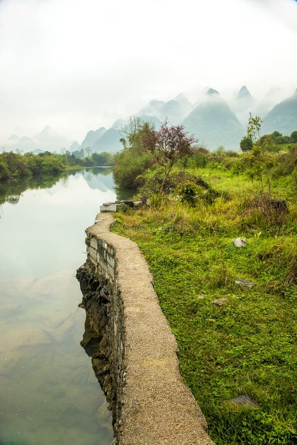 A path beside the river stock photo. Image of field, tree - 99287340