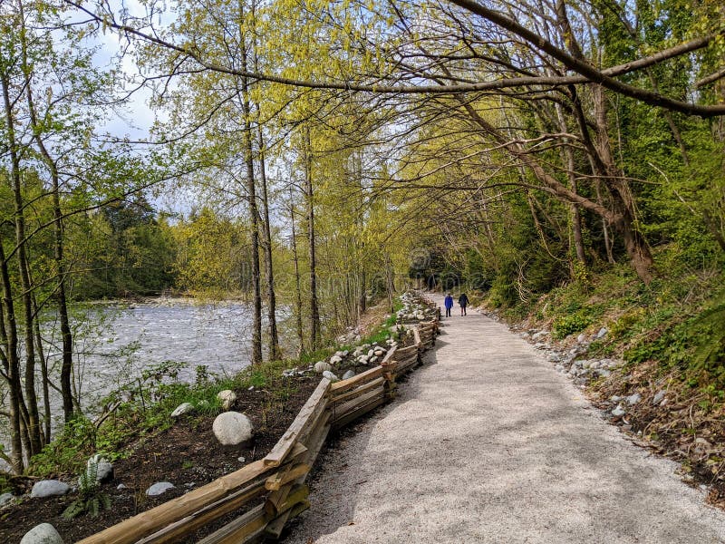Path by the river stock photo. Image of time, forest - 246197042