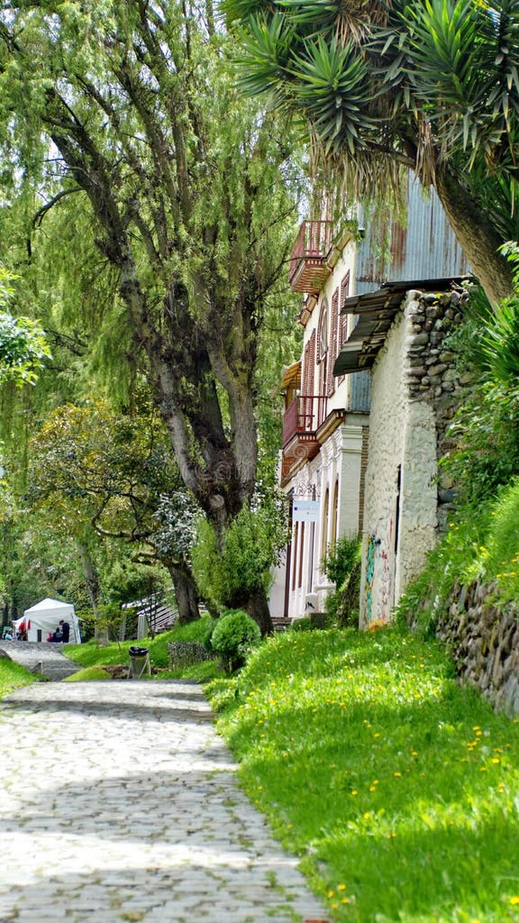 Path by the river stock image. Image of water, green - 174377631
