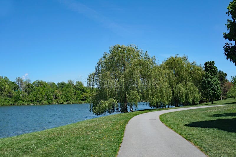Path beside a River with Willow Trees Stock Image - Image of park, path ...