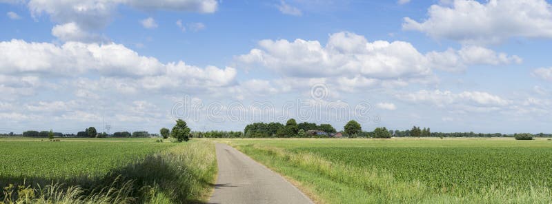 Path or Road between Fields of Crop Leading Toward the Horizon with ...