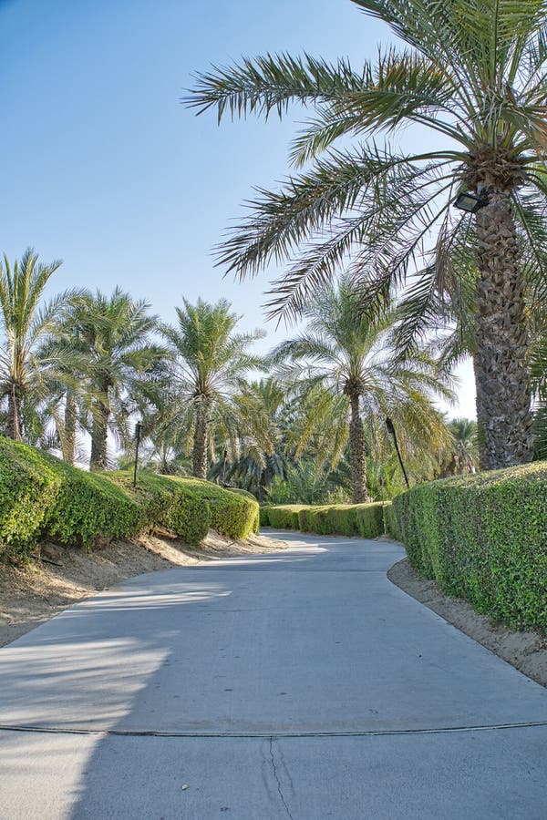 Road, Path, Tree, Infrastructure Picture. Image: 135310550