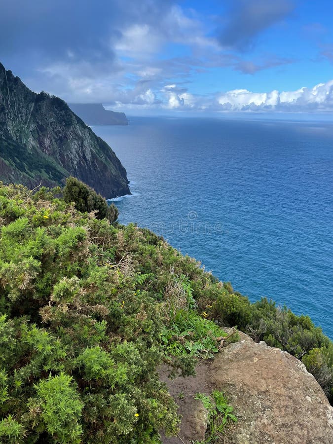Path in the Rocks Over the Ocean Stock Photo - Image of view, green ...