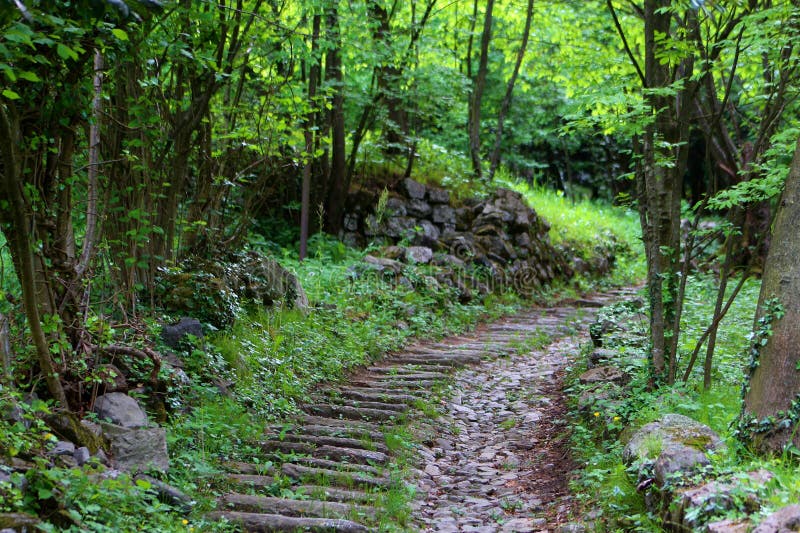 Path of rocks stock image. Image of wilderness, path - 276996441