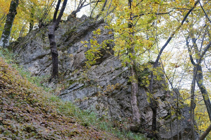 Path and rocks in Plitvice stock image. Image of beautiful - 92953773
