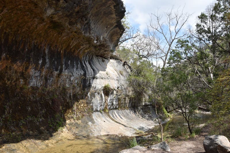Path by Rocky Cliff with Forest Trees in Lost Maples State Park, Texas ...