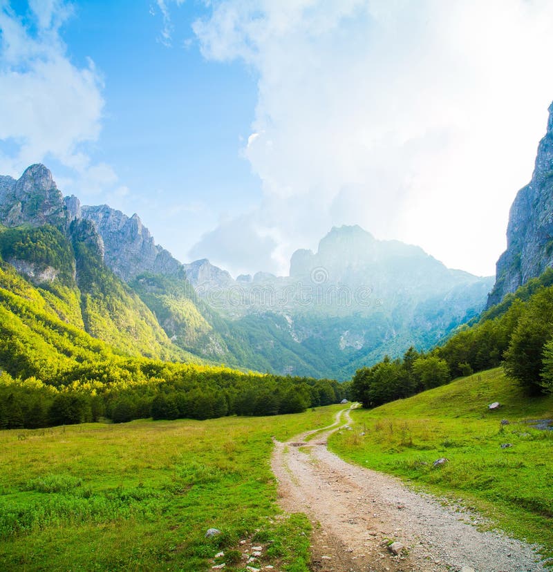 Path in Rocky Mountains in the Summer Stock Image - Image of country ...