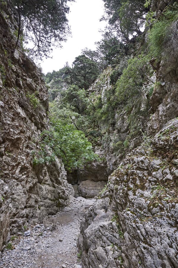 Greece. Crete. Imbros Gorge Stock Image - Image of rocky, greece: 121719677