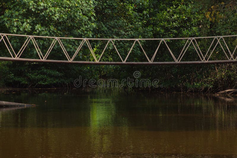 A Walkway with a Rope Railing and a Pond Below Stock Photo - Image of ...