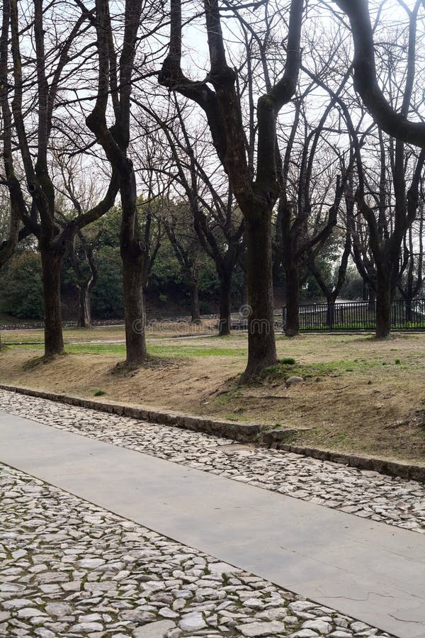 Path with a Row of Bare Trees in a Park on a Cloudy Day Stock Photo ...