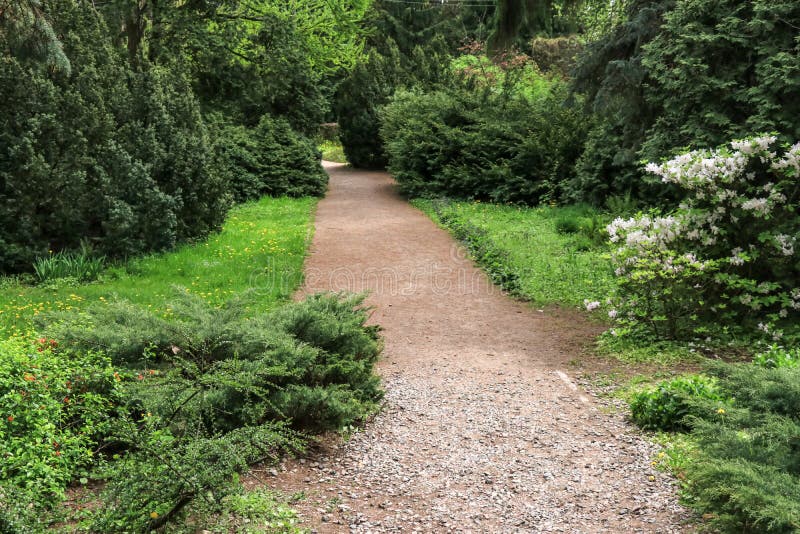 A Path of Rubble in the Park for Hiking among Green Bushes and Trees ...