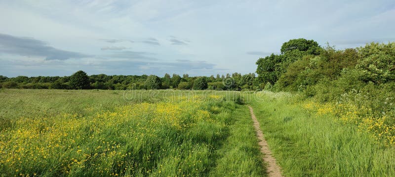 A Path Running through Fields Stock Image - Image of england, meadow ...