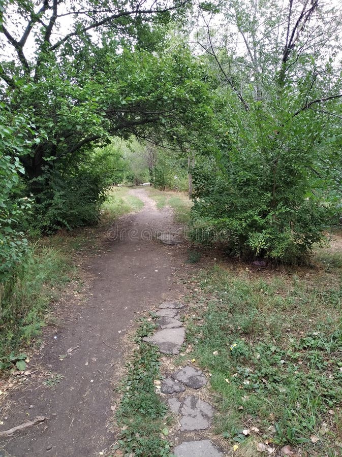 A Path Running through the Green Arch of Trees Stock Photo - Image of ...