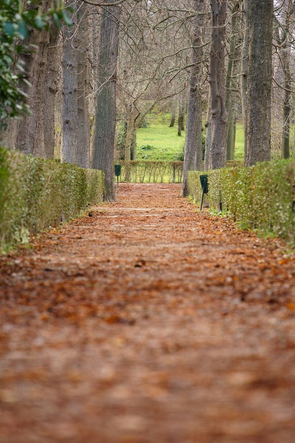 Path Running through Wooded Area in El Retiro Park, Madrid Stock Image ...