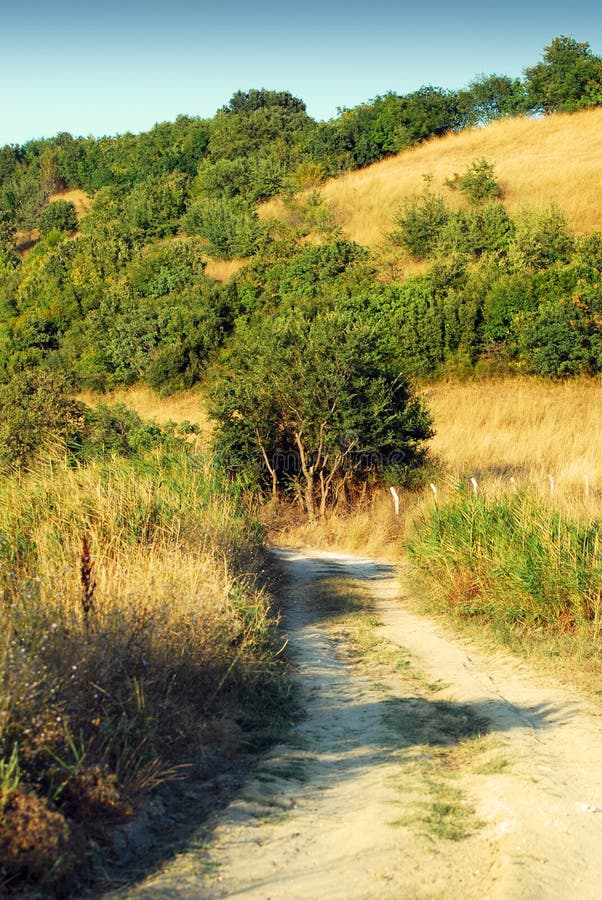 Path stock image. Image of nature, idyllic, road, light - 45680891