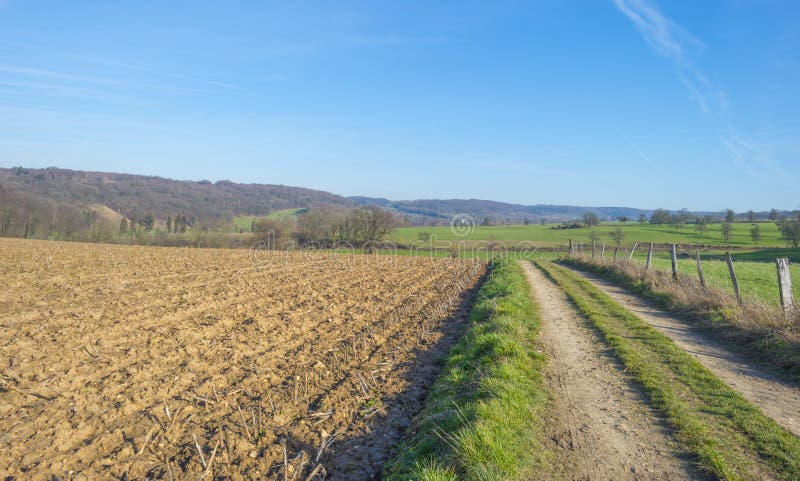 Path in a Rural Hilly Landscape with Trees Below a Blue Sky in Sunlight ...