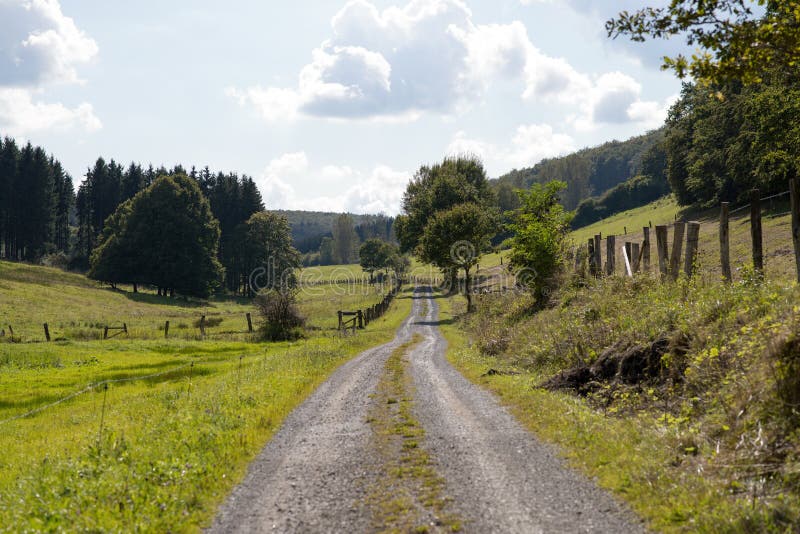 A Path in a Rural Landscape with Meadows in Germany Stock Image - Image ...