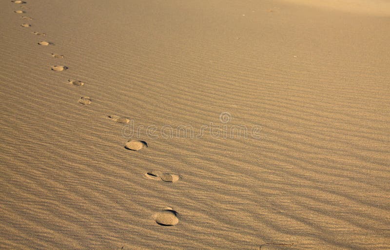 Path on the sand stock image. Image of national, sand - 18677815