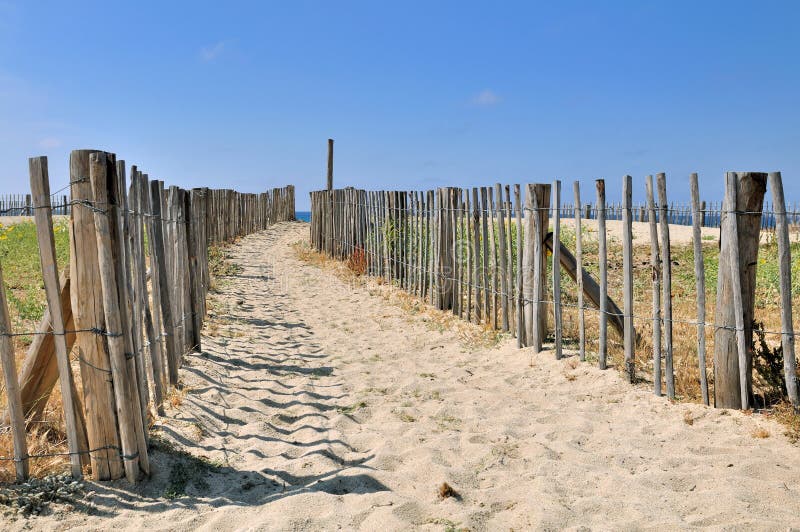 Path of Sand Going To the Beach and Ocean in Miami Beach Florida Stock ...
