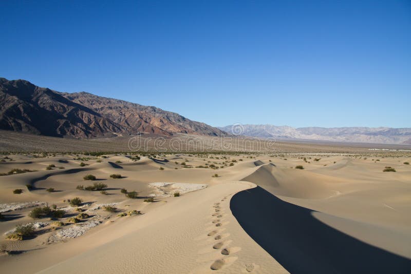 Path on a sand dune stock photo. Image of sand, death - 19422134