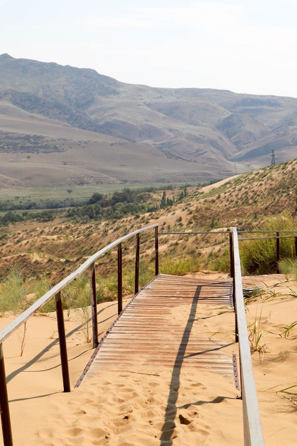 Path on the Sand Going To the Ocean in Miami Beach Stock Photo - Image ...