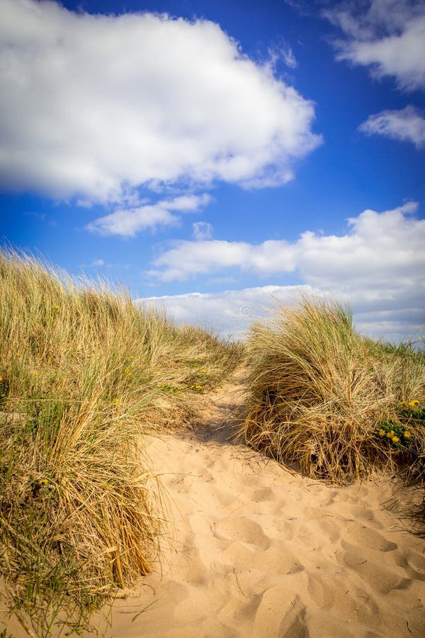 Path in a Sand Dune stock photo. Image of people, beach - 43171478
