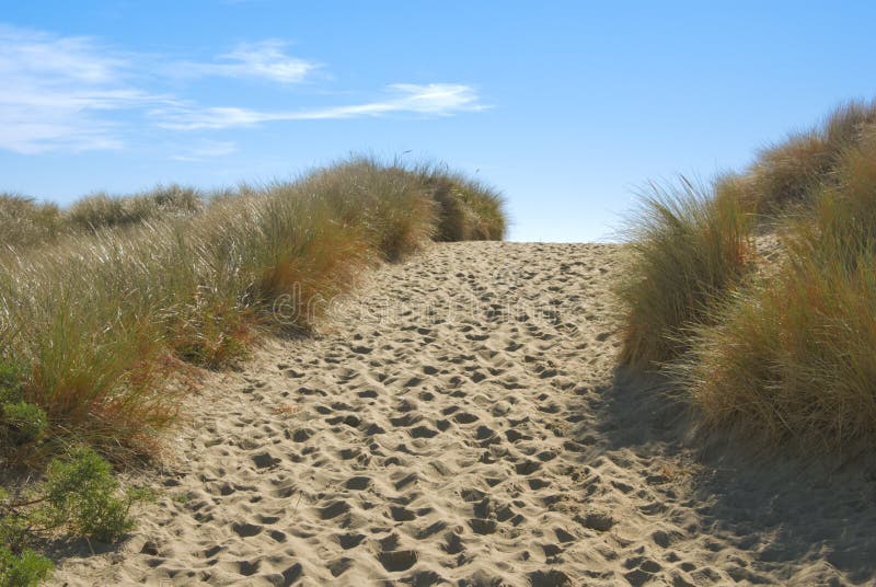 Path in the Sand Dunes at Sunset Stock Photo - Image of dunes, vacation ...
