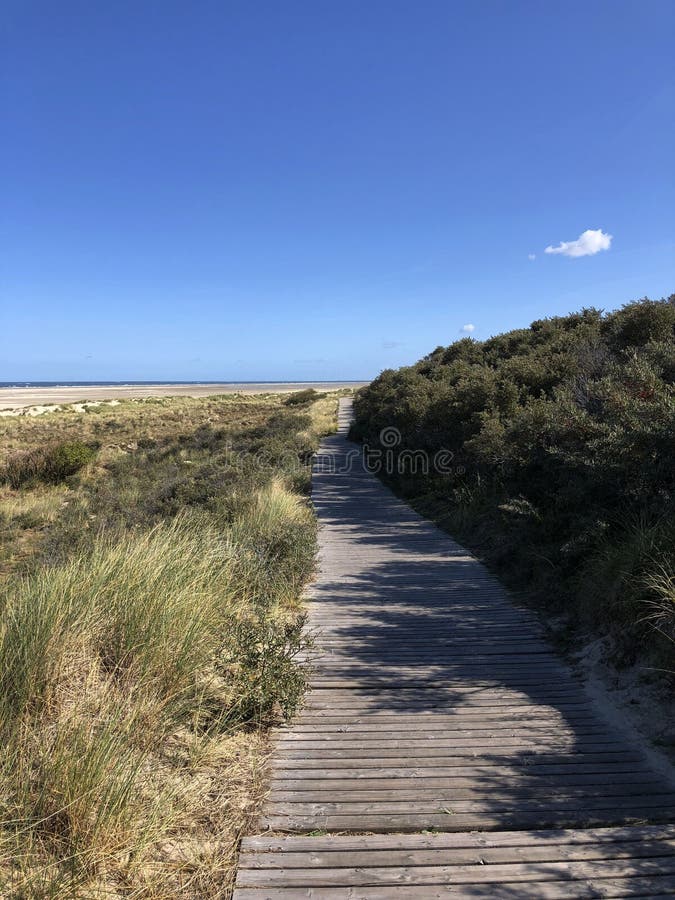 Path through the Sand Dunes Stock Image - Image of blue, dune: 186299569