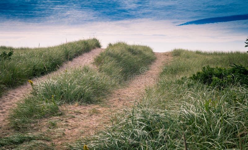 Path on the sand dunes stock image. Image of nature, island - 88502711