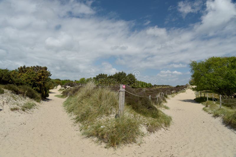 Path through Sand Dunes, Studland Nature Reserve Stock Image - Image of ...
