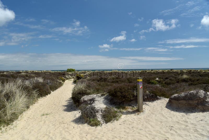 Path through Sand Dunes, Studland Nature Reserve Stock Image - Image of ...