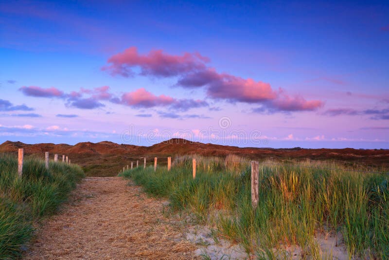 Path in the Sand Dunes at Sunset Stock Photo - Image of dunes, vacation ...