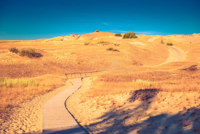 Path through sand stock image. Image of neringa, ground - 64298197