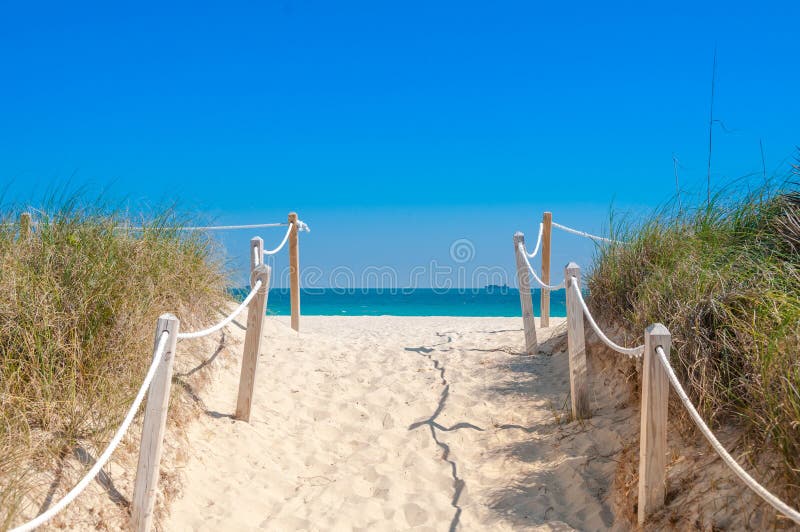 A Path through the Sand Dunes. Stock Image - Image of atlantic, coast ...