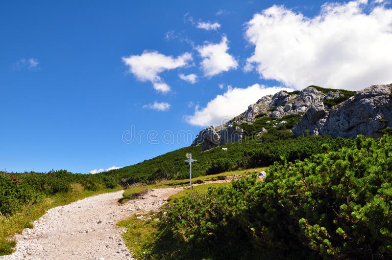 Path on schneeberg hill stock photo. Image of rock, klosterwappen ...