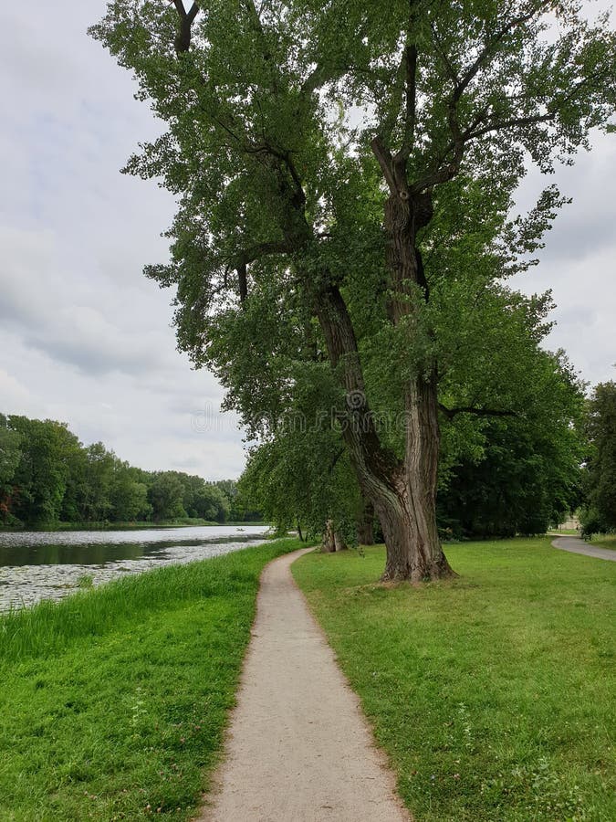On the Path between a See and Trees Stock Photo - Image of autumn ...