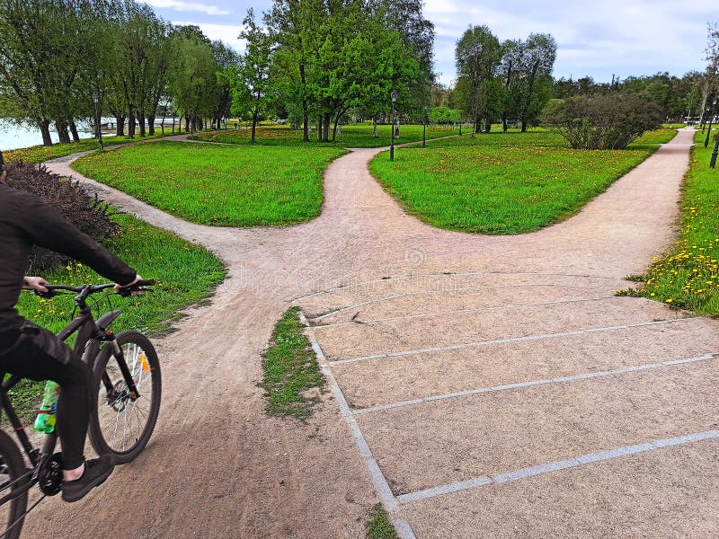 Path Selection. the Road in the Park is Divided into Three Different ...