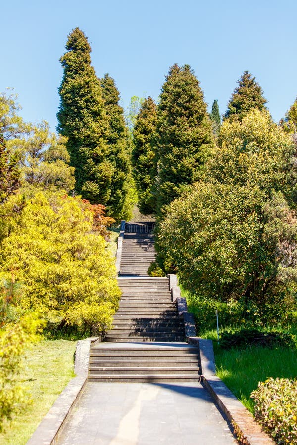 Steps Leading Up the Grassy Hill Stock Image - Image of field, hill ...