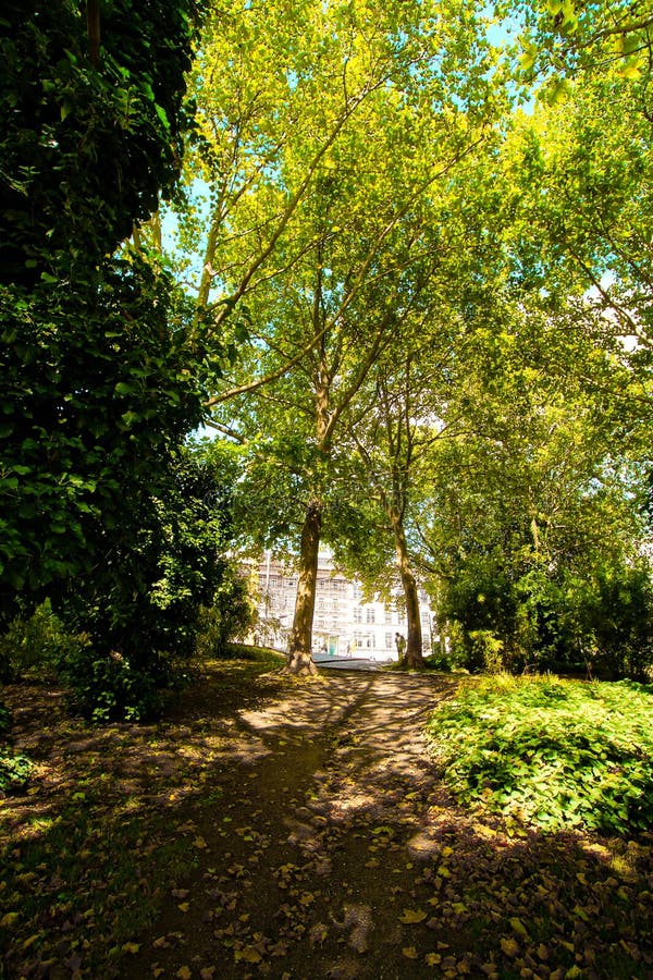 Path in the shade stock photo. Image of shadow, walking - 369088466
