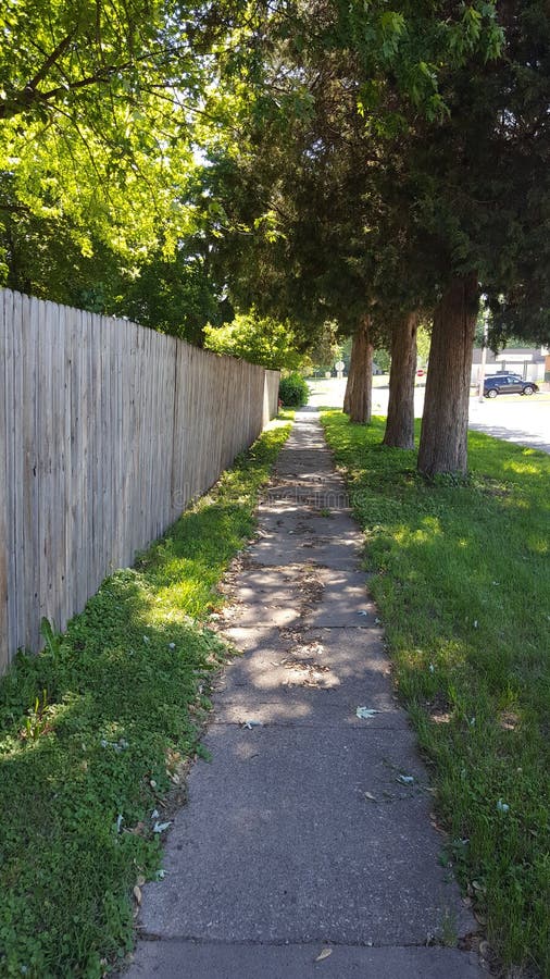 Path in the shade stock image. Image of path, tree, shade - 119598425